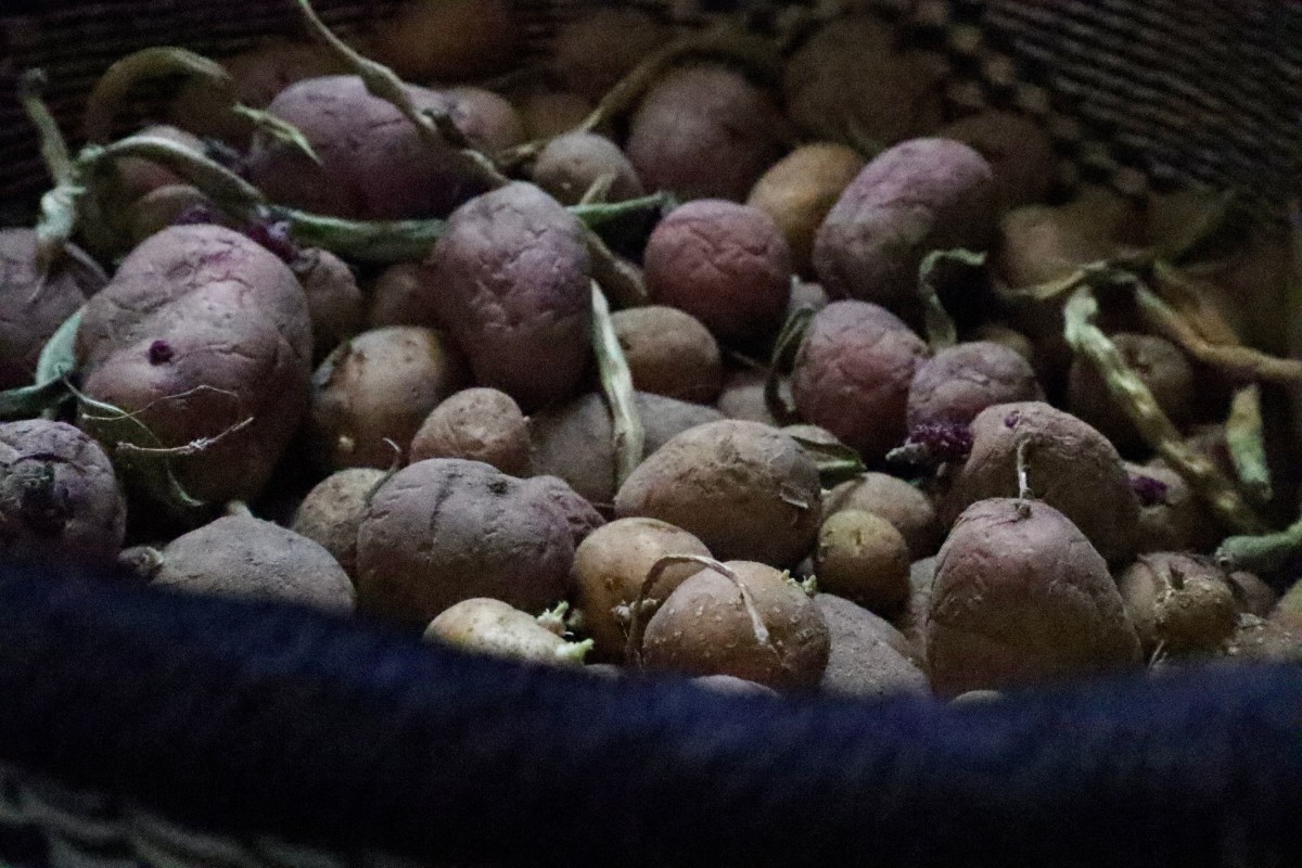 Fall Pantry Staples & How I Stock Up To Save Money – Life with Elizabeth